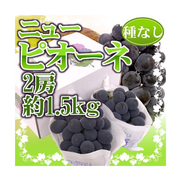 【発売日：2026年07月25日】【送料無料】岡山県の名産【ニューピオーネ】は甘く、さわやかでボリュームたっぷり♪種なしで食べやすい！初夏から夏にかけて、お中元等の贈答にも最適です。/黒ぶどう/ブドウ/葡萄/newピオーネ/種無し/種なしピ...