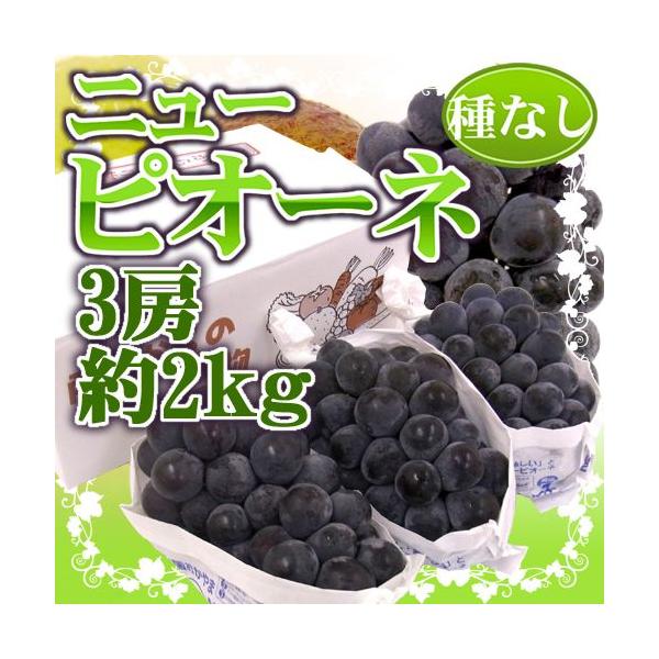 【発売日：2026年07月25日】【送料無料】岡山県の名産【ニューピオーネ】は甘く、さわやかでボリュームたっぷりな上種なしで食べやすい！初夏から夏にかけて、お中元等の贈答にも最適です/黒ぶどう/ブドウ/葡萄/newピオーネ/種無し/種なしピ...