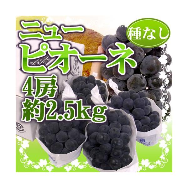 【発売日：2026年07月25日】【送料無料】岡山県の名産【ニューピオーネ】は甘く、さわやかでボリュームたっぷりな上種なしで食べやすい！初夏から夏にかけて、お中元等の贈答にも最適です/フルーツ/果物/2.5キロ/爆買