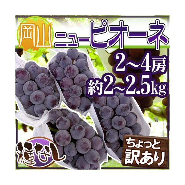 【発売日：2026年09月10日】【送料無料】岡山県の名産【ニューピオーネ】訳ありですがおいしさには問題なし♪大粒で甘くさわやかなニューピオーネです！ご家庭や気心の知れた方へのプレゼントにも！/フルーツ/果物/2.5キロ/爆買
