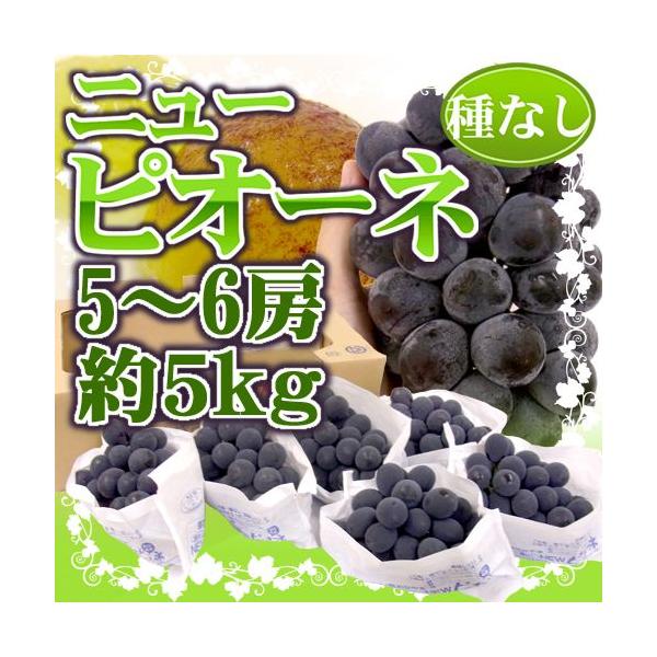 【発売日：2026年07月25日】【送料無料】岡山県の名産【ニューピオーネ】は甘く、さわやかでボリュームたっぷりな上種なしで食べやすい！初夏から夏にかけて、お中元等の贈答にも最適です/黒ぶどう/ブドウ/葡萄/newピオーネ/種無し/種なしピ...
