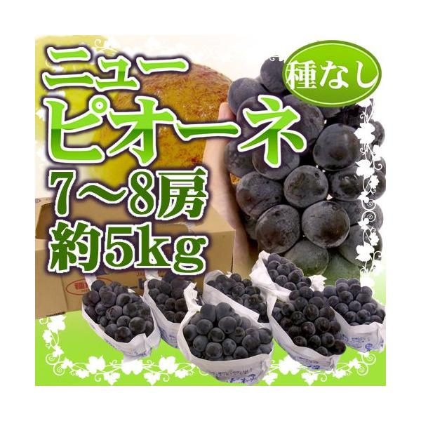 【発売日：2026年07月25日】【送料無料】岡山県の名産【ニューピオーネ】は甘く、さわやかでボリュームたっぷりな上種なしで食べやすい！初夏から夏にかけて、お中元等の贈答にも最適です/黒ぶどう/ブドウ/葡萄/newピオーネ/種無し/種なしピ...