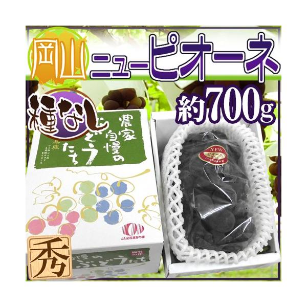 【発売日：2026年07月25日】【送料無料】岡山県の名産【ニューピオーネ】は甘く、さわやかでボリュームたっぷりな上種なしで食べやすい！濃厚な味わいはクセになる♪巨峰にも負けない！万人受けする美味しさです！/黒ぶどう/ブドウ/葡萄/newピ...