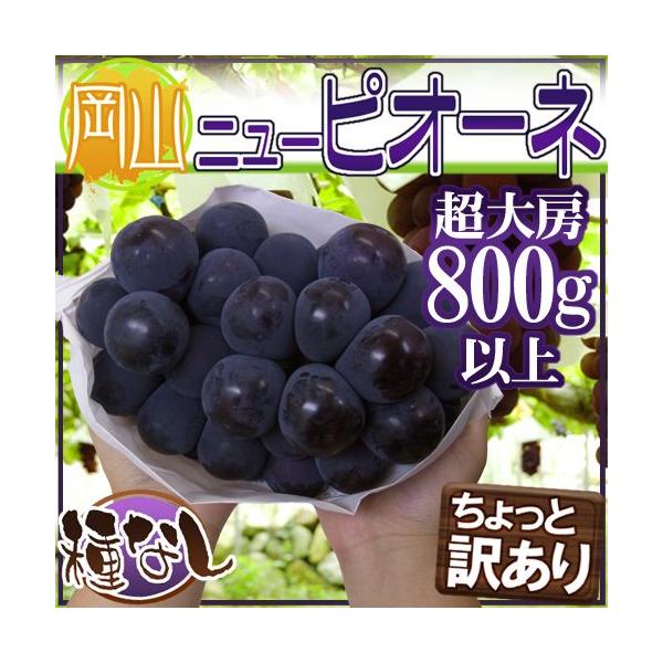 【発売日：2026年09月10日】岡山県の名産【ニューピオーネ】訳ありですがおいしさには問題なし♪大粒で甘くさわやかなニューピオーネです！ご家庭や気心の知れた方へのプレゼントにも！/フルーツ/果物/爆買