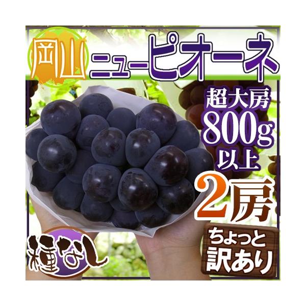 【発売日：2026年09月10日】【送料無料】岡山県の名産【ニューピオーネ】訳ありですがおいしさには問題なし♪大粒で甘くさわやかなニューピオーネです！ご家庭や気心の知れた方へのプレゼントにも！/フルーツ/果物/爆買