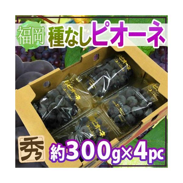 【発売日：2026年06月30日】【送料無料】爽やかさと濃厚さのバランスが特徴♪巨峰の血を継ぐ新定番黒ぶどう「ピオーネ」深いコクの九州の実力派産地・福岡八女産限定でお届けします♪種なしピオーネ/ピオーネ/ニューピオーネ/種無し/種なし/たね...