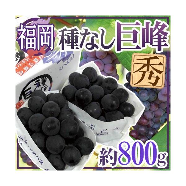 【発売日：2026年07月10日】【送料無料】ずっと愛され続けているぶどうの王様の濃厚な甘さ！深いコクと濃い甘さ、絶妙な酸味！今回お届けするのはご年配やお子様でも安心♪食べやすい種なし！お中元にも♪/フルーツ/果物/爆買