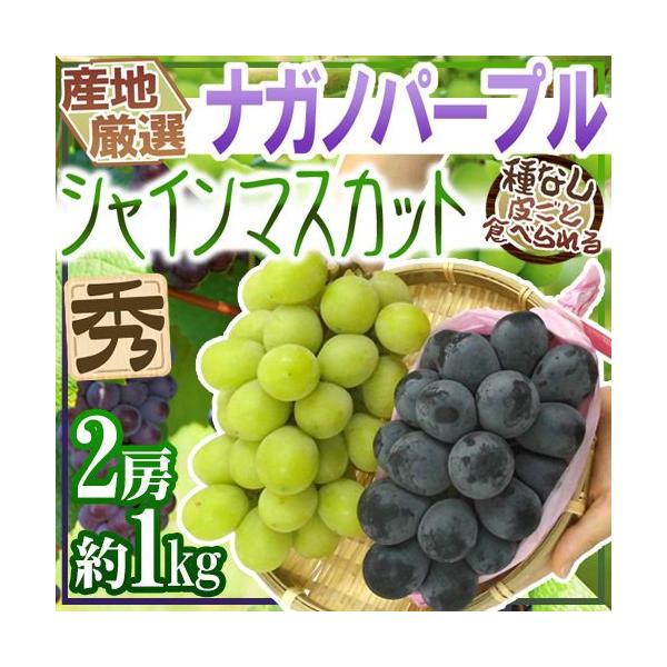 【発売日：2026年09月10日】【送料無料】皮ごとまるごと食べられて種もない♪張りつめた粒を口の中に放り込めばサクサクッじゅわ〜っと広がる甘味！長野パープル＋シャインマスカット！黒ぶどう＆青ぶどうのルーキーをどちらもセットで！/フルーツ/...