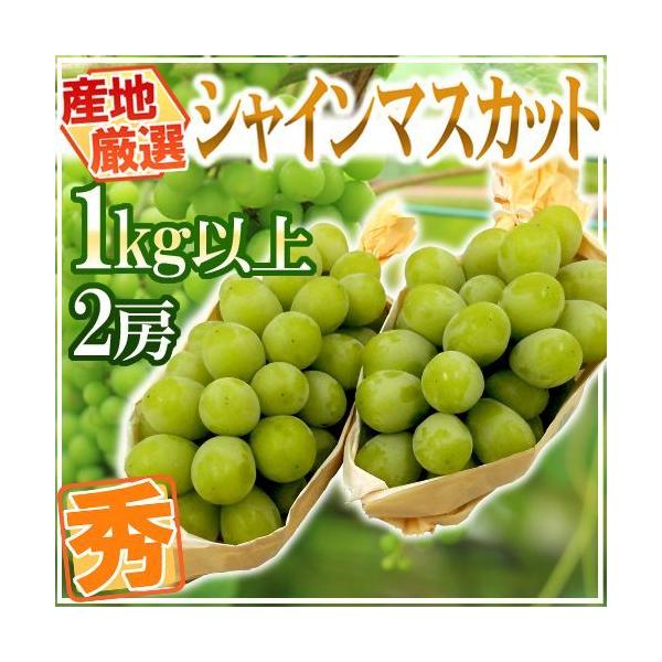 【発売日：2025年08月25日】大注目の新品種「シャインマスカット」！皮ごと、まるごと食べられて種もない♪驚くほどの甘さとマスカットの芳醇な香りは一口食べたらヤミツキに！/フルーツ/果物/1キロ/爆買