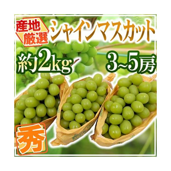 【発売日：2025年08月25日】大注目の新品種「シャインマスカット」！皮ごと、まるごと食べられて種もない♪驚くほどの甘さとマスカットの芳醇な香りは一口食べたらヤミツキに！/ギフト/贈り物/特産品/名物商品/お中元/残暑見舞い/フルーツ/果...