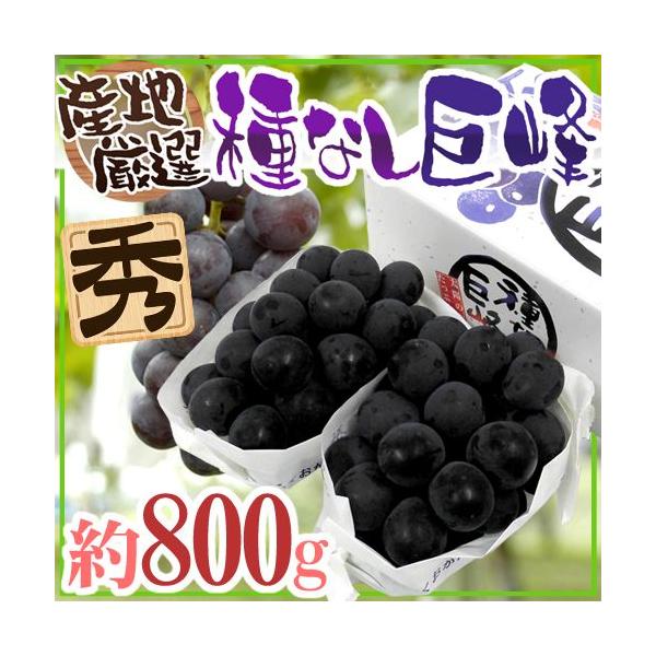 【発売日：2026年07月10日】【送料無料】みんな大好き♪ぶどうの王様「巨峰」が食べやすい種無しで登場！化粧箱入りで贈答にも◎！老若男女に愛されるコク深い甘さは絶品です♪「お中元」/フルーツ/果物/爆買