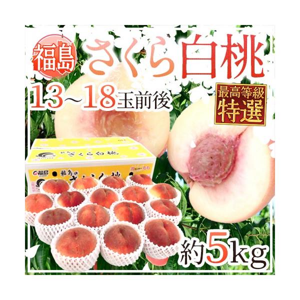 【発売日：2026年09月10日】【送料無料】桃シーズンのほぼラストを飾る、注目の高糖度桃「さくら白桃」驚きの高糖度は桃好きさんも納得の美味しさです！/フルーツ/果物/5キロ/爆買