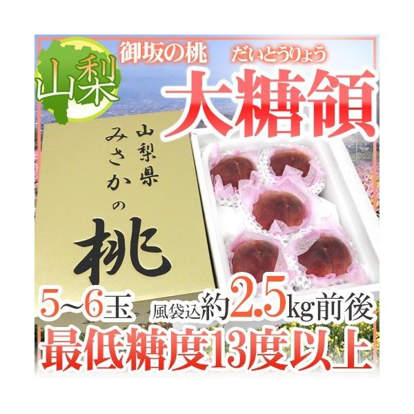 【発売日：2026年07月05日】【送料無料・御中元・ご予約品】日本最高峰の桃　山梨県御坂産【大糖領】光センサー選果で糖度13度以上を実現！甘〜くさわやかな香りは絶品です♪　化粧箱入りなので贈答、お中元などにも！「中元」/フルーツ/果物/2...