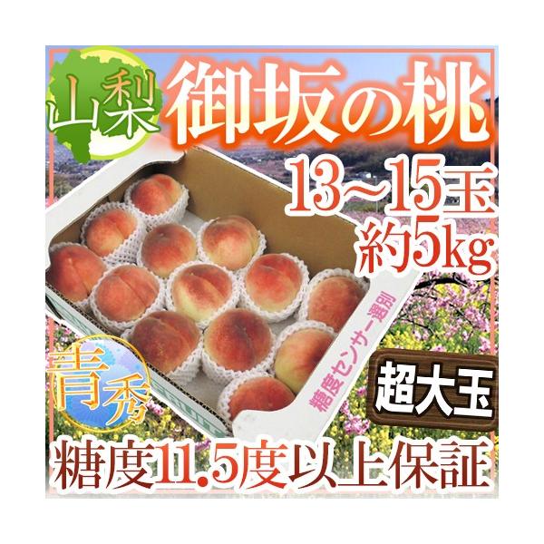 【発売日：2026年07月25日】【送料無料！】現代の桃源郷・桃の一大産地「御坂地区」の腕利き生産者たちの作りだす糖度11.5度以上の甘〜い桃♪柔らかく、瑞々しさ抜群で果汁が溢れだします！/フルーツ/果物/5キロ/爆買