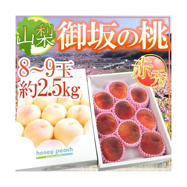 【発売日：2026年07月25日】【送料無料！】現代の桃源郷・桃の一大ブランド産地「御坂地区」の腕利き生産者たちの作りだす甘〜い桃♪柔らかく、瑞々しさ抜群で果汁が溢れだします！/フルーツ/果物/2.5キロ/爆買