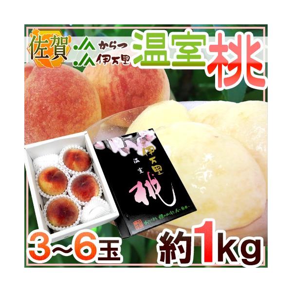 【発売日：2026年05月25日】【送料無料！】手塩にかけて育てられた箱入り娘「温室桃」さわやかな香りとあふれる果汁、甘く柔らかな果肉は絶品♪　化粧箱入りなので贈答、お中元などにも！「中元」/フルーツ/果物/1キロ/爆買