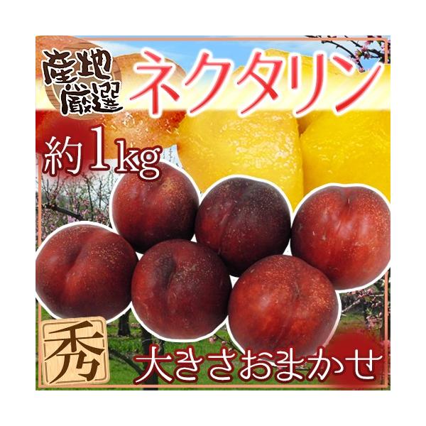 【発売日：2026年07月10日】【送料無料！】真っ赤でつるつるとした果皮と黄色い果肉が特徴の「ネクタリン」桃とプラムをいいところどりしたような味わいは、生でそのままは勿論お菓子作りやジャム作りにも最適！クセになる豊かな味わいです♪/桃/ピ...