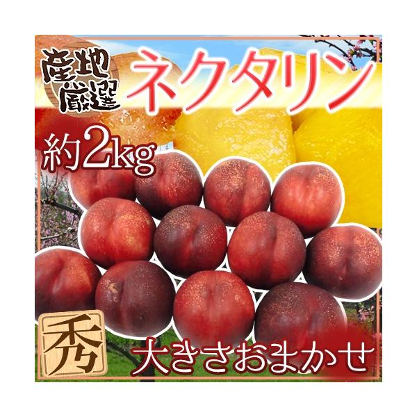 【発売日：2026年07月10日】【送料無料！】真っ赤でつるつるとした果皮と黄色い果肉が特徴の「ネクタリン」桃とプラムをいいところどりしたような味わいは、生でそのままは勿論お菓子作りやジャム作りにも最適！クセになる豊かな味わいです♪/桃/ピ...