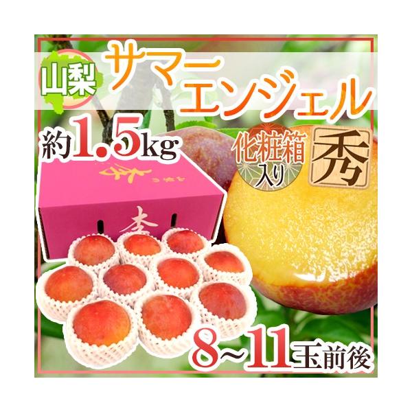 【発売日：2026年07月25日】【送料無料】まろやかな甘さが自慢の「ケルシー」と爽やかな酸味が魅力の「ソルダム」を掛け合わせた甘さと酸味のバツグンのバランスが魅力！貴陽に並ぶ！？注目品種！李/プラム/すもも/山梨産/国産/贈答/お中元/フ...