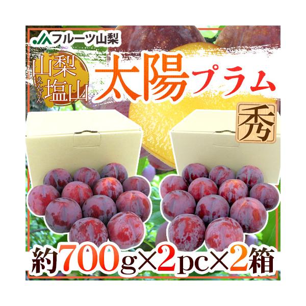 【発売日：2026年08月20日】【送料無料】あの貴陽の親品種であり、自身も実力派の人気品種「太陽」しっかりとした甘さと、ほどよい酸味の絶妙なバランス♪プラム/すもも/李/たいよう/貴陽/山梨/塩山/ギフト/産直/産地直送/暑中見舞い/フル...