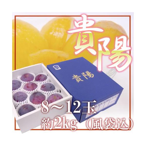 【発売日：2026年07月10日】【送料無料】プラムの本場・山梨県から幻のプラムが届きました♪甘くてさわやか、大玉で肉厚だかた食べごたえもばっちり♪お中元・ご進物にも！/フルーツ/果物/2キロ/爆買