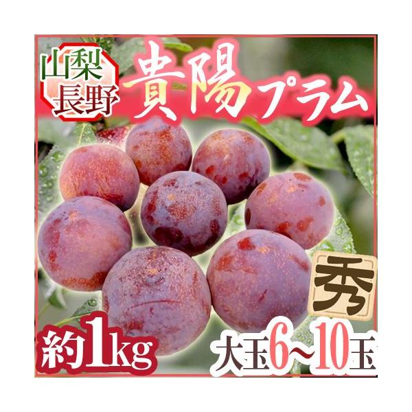 【発売日：2026年07月25日】プラムの本場・山梨県から幻のプラムが届きました♪甘くてさわやか、大玉で肉厚だから食べごたえもばっちり♪お中元・ご進物にも！/フルーツ/果物/1キロ/爆買