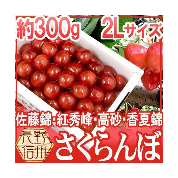 【発売日：2026年05月10日】【送料無料】ハウス内で大切に育てられた「畑のルビー」宝石と呼ぶにふさわしい輝き。【佐藤錦・紅秀峰・高砂・香夏錦】の中からその時期もっともおいしい品種でお届けします！ 「中元」/フルーツ/果物/爆買