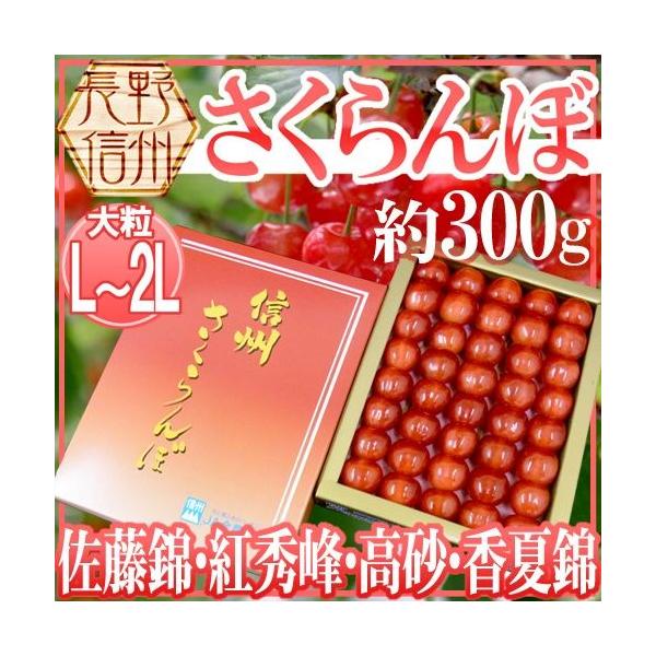 【発売日：2026年05月10日】【送料無料】ハウス内で大切に育てられた「畑のルビー」宝石と呼ぶにふさわしい輝き。【佐藤錦・紅秀峰・高砂・香夏錦】の中からその時期もっともおいしい品種でお届けします！「中元」/フルーツ/果物/爆買