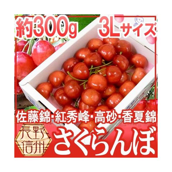 【発売日：2026年05月10日】【送料無料】ハウス内で大切に育てられた「畑のルビー」宝石と呼ぶにふさわしい輝き。【佐藤錦・紅秀峰・高砂・香夏錦】の中からその時期もっともおいしい品種でお届けします！「中元」/フルーツ/果物/爆買