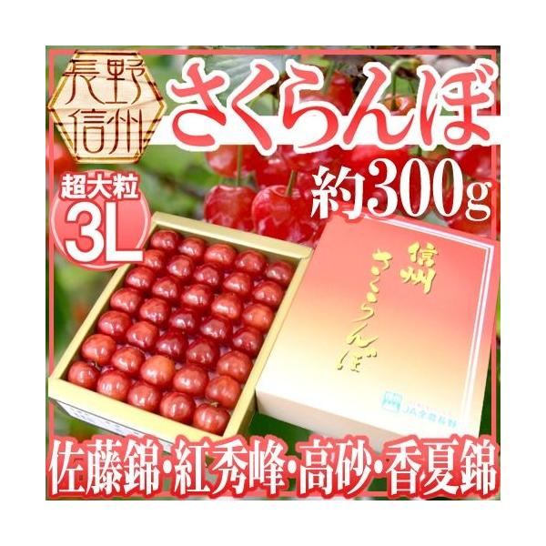 【発売日：2026年05月10日】【送料無料】ハウス内で大切に育てられた「畑のルビー」宝石と呼ぶにふさわしい輝き。【佐藤錦・紅秀峰・高砂・香夏錦】の中からその時期もっともおいしい品種でお届けします！「中元」/フルーツ/果物/爆買