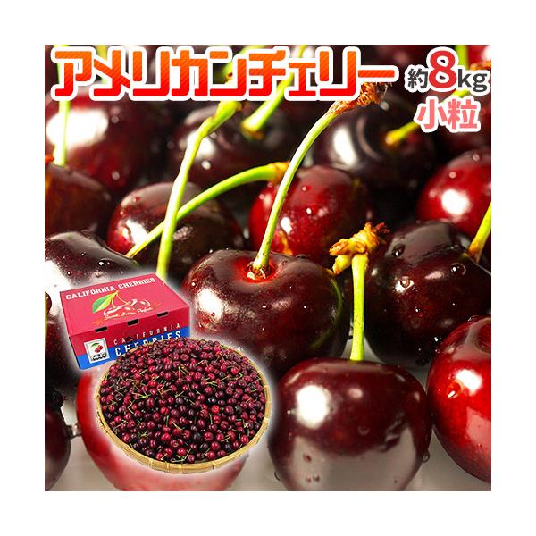 【発売日：2026年05月25日】【送料無料】甘くって濃厚な味！一粒一粒が肉厚！国産有名ブランド・佐藤錦にも負けない美味しさ♪/フルーツ/果物/8キロ/爆買