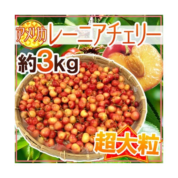 【発売日：2026年06月25日】【送料無料】鮮やかな赤と黄色の食欲をそそる姿、大粒、肉厚、とってもあま〜い！！「アメリカ版佐藤錦」「佐藤錦のライバル」といわれる注目のチェリーです♪/レイニアチェリー/アメリカンチェリー/フルーツ/果物/3...