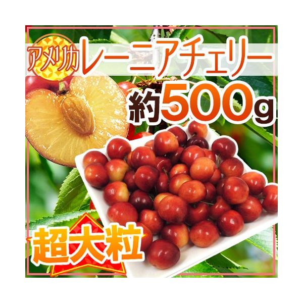 【発売日：2026年06月25日】鮮やかな赤と黄色の食欲をそそる姿、大粒、肉厚、とってもあま〜い！！「アメリカ版佐藤錦」「佐藤錦のライバル」といわれる注目のチェリーです♪/レイニアチェリー/アメリカンチェリー/フルーツ/果物/爆買