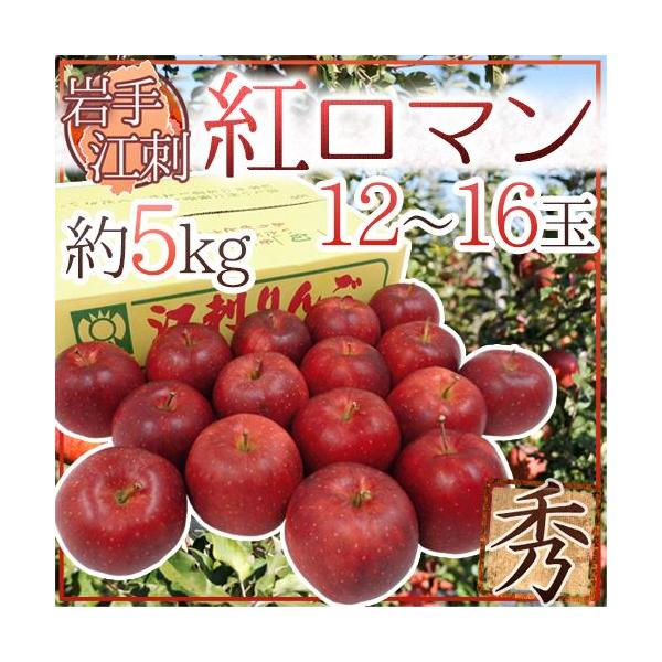 【発売日：2026年09月10日】【送料無料】しっかりとしたシャキシャキ感と甘酸っぱさ♪この時期にもうこんなに美味しい林檎が！？と驚く味わい！「ブランド産地江刺」の注目のオリジナル新品種です♪/フルーツ/果物/5キロ/爆買