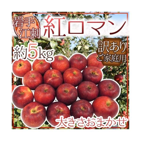 【発売日：2026年09月10日】【送料無料】しっかりとしたシャキシャキ感と甘酸っぱさ♪この時期にもうこんなに美味しい林檎が！？と驚く味わい！「ブランド産地江刺」の注目のオリジナル新品種です♪/フルーツ/果物/5キロ/爆買