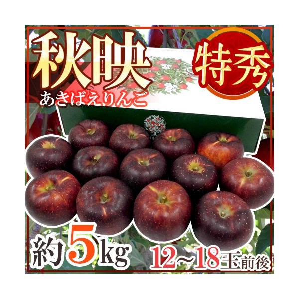 【発売日：2026年10月10日】【送料無料】真紅の姿の濃厚りんご！緻密なシャクシャク感の果肉を噛むと濃密な甘酸っぱさの果汁が口いっぱいに広がる、おいしさのわかる人のための「大人のりんご」です/フルーツ/果物/5キロ/爆買