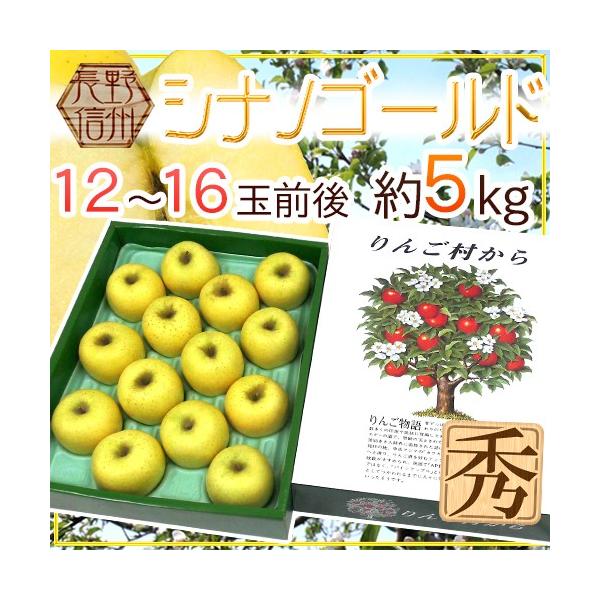 【発売日：2026年11月10日】【送料無料】「秋映」「シナノスイート」に続く長野自慢のりんごシナノ三兄弟のアンカー♪金色の姿に惑わされるなかれ♪甘さ・酸味・食感・香りの揃った極上の王道りんご！パキっとした食感がたまりません！たっぷり約5キ...