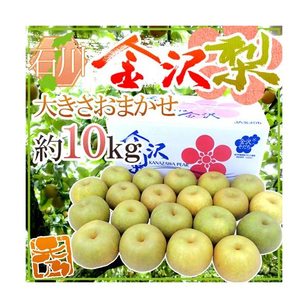 【発売日：2026年08月30日】【送料無料】シャリっと上品に甘い和梨♪腕利き産地・金沢のブランド"金沢そだち"「金沢梨」をその時一番旬を迎えている梨を厳選してお届けいたします！幸水/豊水/南水/あきづき/秋月/梨/なし/ナシ/石川梨/金沢...