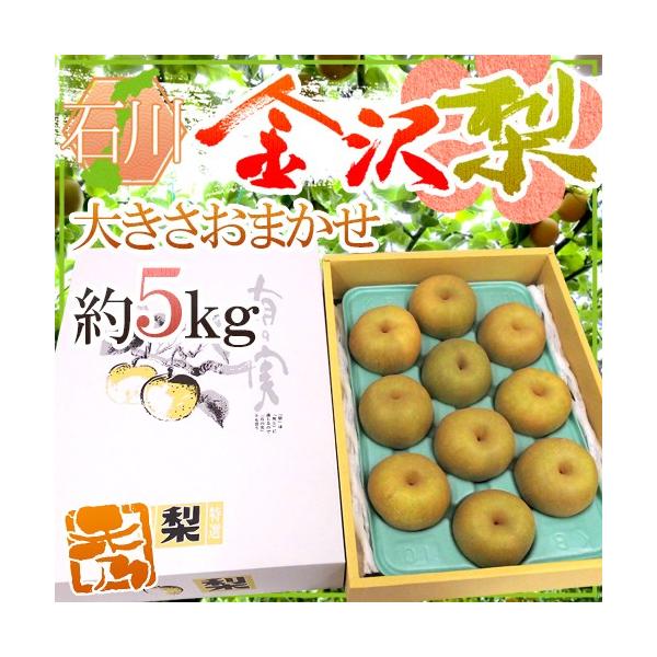 【発売日：2026年08月30日】【送料無料】シャリっと上品に甘い和梨♪腕利き産地・金沢のブランド"金沢そだち"「金沢梨」をその時一番旬を迎えている梨を厳選してお届けいたします！幸水/豊水/南水/あきづき/秋月/梨/なし/ナシ/石川梨/金沢...