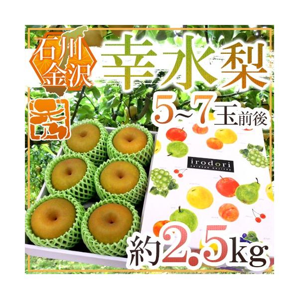 【発売日：2026年08月30日】【送料無料】じゅわりと滴る果汁、広がる優しい甘さ。シャクっとした柔らかな食感♪「やっぱり幸水梨はおいしい！」安心のおいしさの定番品種♪古都の名産・金沢梨！梨/なし/ナシ/石川梨/金沢梨/こうすい/幸水/鳥取...