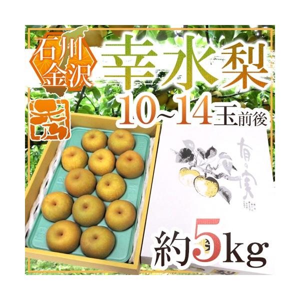 【発売日：2026年08月30日】【送料無料】じゅわりと滴る果汁、広がる優しい甘さ。シャクっとした柔らかな食感♪「やっぱり幸水梨はおいしい！」安心のおいしさの定番品種♪古都の名産・金沢梨！梨/なし/ナシ/石川梨/金沢梨/こうすい/幸水/鳥取...