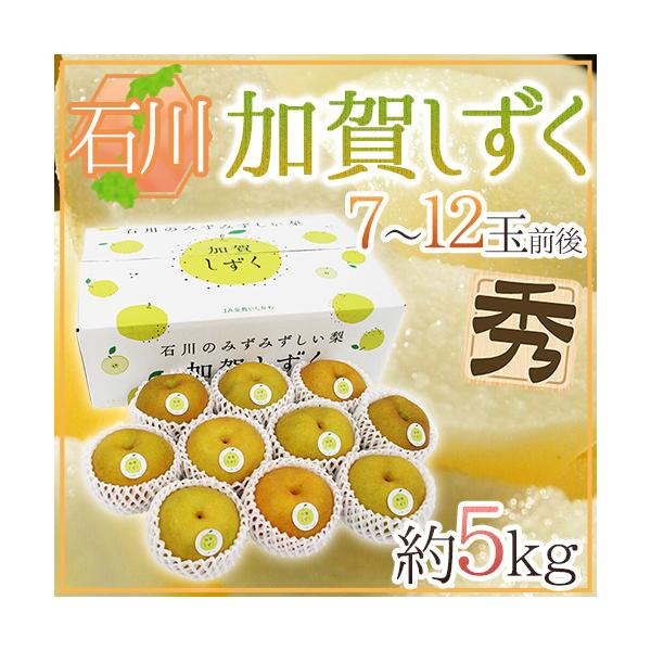 【発売日：2026年09月10日】【送料無料】とにかく甘く、かんだ瞬間に果汁があふれる程ジューシー、なめらかでありながらシャリ感も感じられる♪なんと糖度12度以上保証の秀品限定♪こうすいなし/幸水梨/鞍月/和梨/梨/ナシ/なし/石川/いしか...