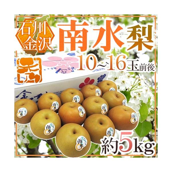 【発売日：2026年09月10日】【送料無料】甘さバツグン！注目＆人気の新品種♪シャリっと固めの食感と、滴る果汁、なにより甘さが特徴の南水梨！あま〜い梨が食べたい方に♪古都の名産・金沢梨！なんすい/ナンスイ/南水/梨/なし/ナシ/石川梨/金...