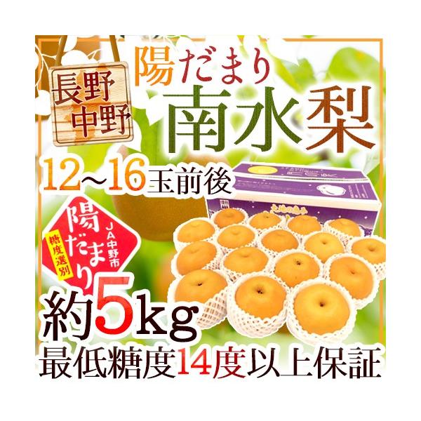 【発売日：2026年09月25日】【送料無料】フルーツ王国・長野の中でも一目おかれる名産地・中野で育った極甘南水梨！光センサー選果で糖度14度以上保証♪大切な方への贈答などにも最適な梨です！南水梨/サン南水梨/長野産南水梨/信州産南水梨/フ...