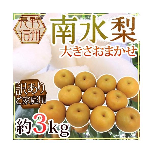 【発売日：2026年09月25日】【送料無料】しっかりとした甘さと瑞々しさが自慢！生産者が「これを作りたい！」と指名し、自信を持って作る今注目の新品種梨♪しっかりとした果肉はとってもジューシー！南水梨/サン南水梨/長野産南水梨/信州産南水梨...
