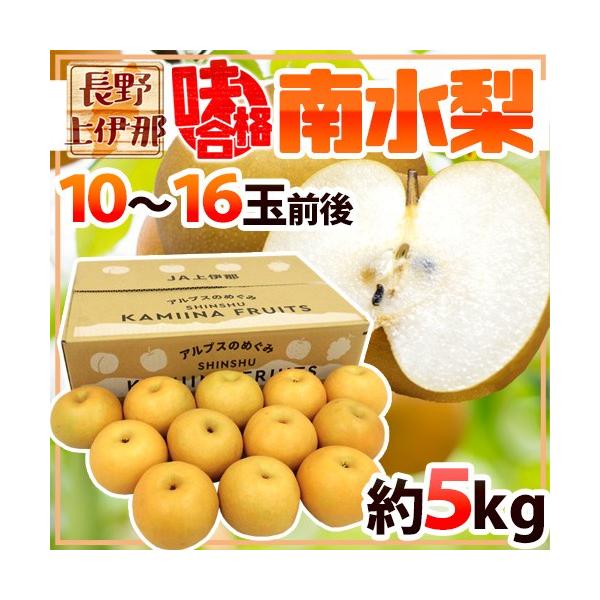 【発売日：2026年09月30日】【送料無料】フルーツ王国・長野の中でも一目おかれる名産地・上伊那で育った極甘南水梨！光センサー選果で糖度14度以上保証♪大切な方への贈答などにも最適な梨です！南水梨/サン南水梨/長野産南水梨/信州産南水梨/...