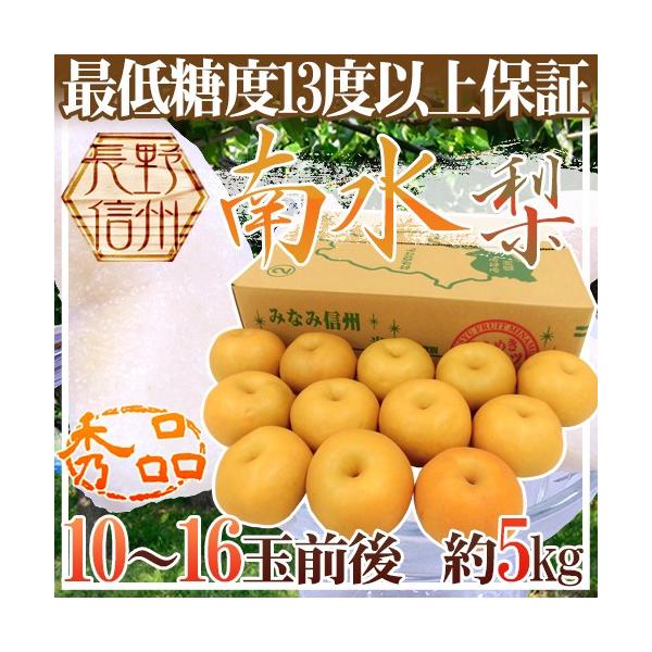 【発売日：2026年09月25日】【送料無料】最低糖度13度以上！15度以上も珍しくない超高糖度！甘〜く瑞々しいシャクシャクの赤梨！！姿も美しい秀品です♪/フルーツ/果物/5キロ/爆買