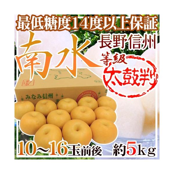 【発売日：2026年09月25日】【送料無料】最低糖度14度以上！時期によっては15度以上も……♪おいしさは太鼓判つき！甘〜く美しく瑞々しいシャクシャクの赤梨です♪/南水梨/サン南水梨/長野産南水梨/信州産南水梨/フルーツ/果物/5キロ/爆買