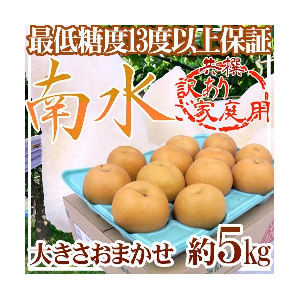 【発売日：2026年09月25日】【送料無料】最低糖度13度以上！15度以上も珍しくない超高糖度♪訳アリだけど光センサーによる糖度保証付き！！瑞々しくてシャキシャキです！/南水梨/サン南水梨/長野産南水梨/信州産南水梨/フルーツ/果物/5キ...