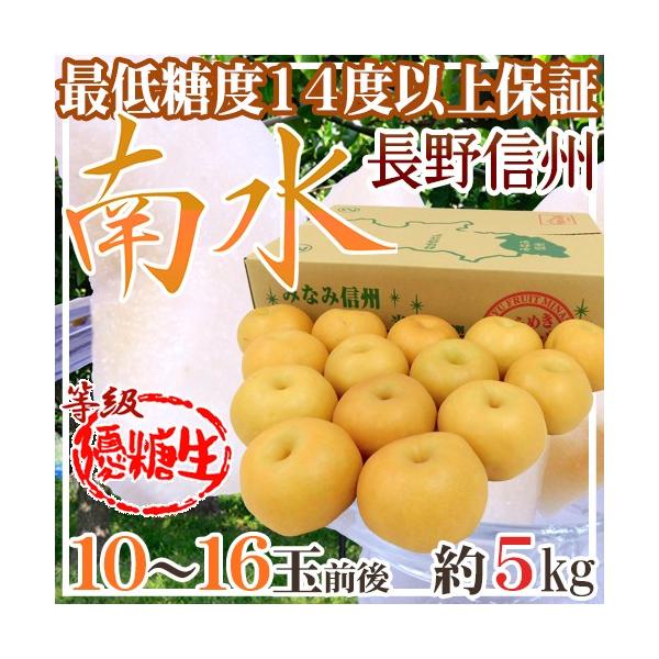 【発売日：2026年09月25日】【送料無料】最低糖度14度以上！時期によっては15度以上も……♪おいしさの優糖生！甘〜く瑞々しいシャクシャクの赤梨です♪/南水梨/サン南水梨/長野産南水梨/信州産南水梨/フルーツ/果物/5キロ/爆買